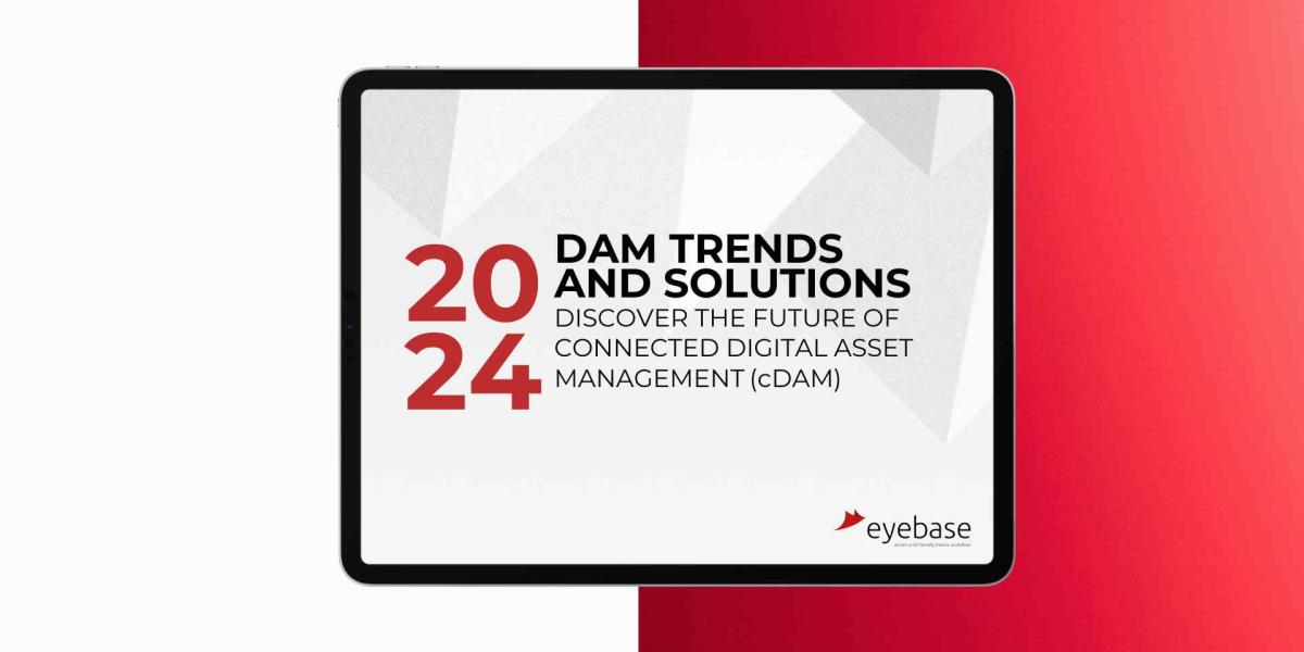 The 2024 DAM Trends and Solutions Report