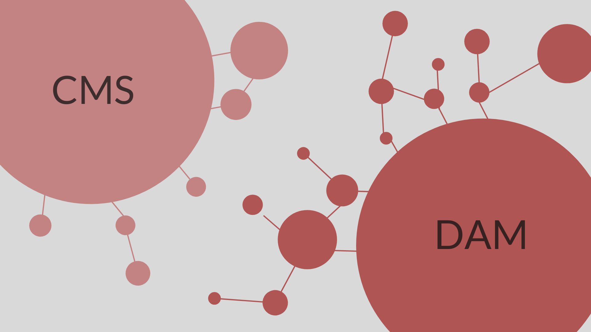 Différences entre CMS et DAM.